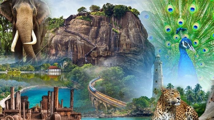 Golden Pearl - Discover Sri Lanka’s Finest Travel & Tour Experiences